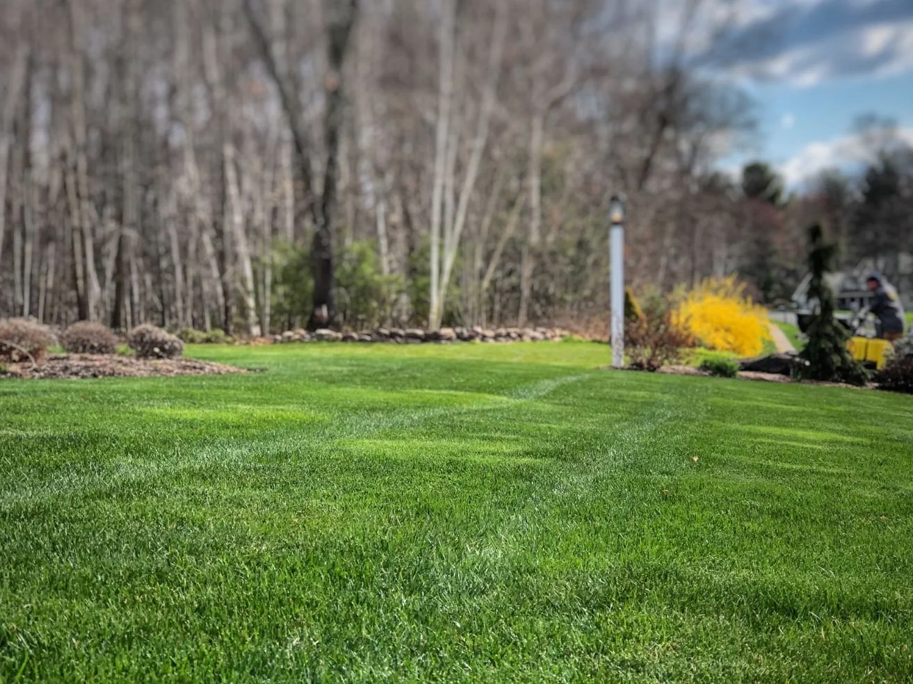 Stunning Green Meadow Lawn Care Images