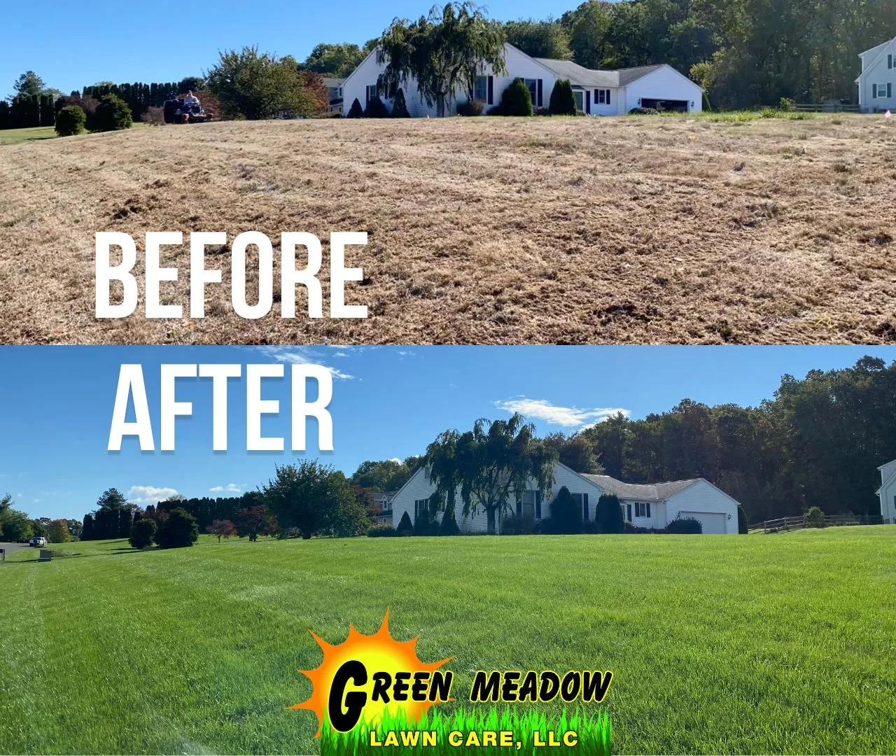Stunning Green Meadow Lawn Care Images