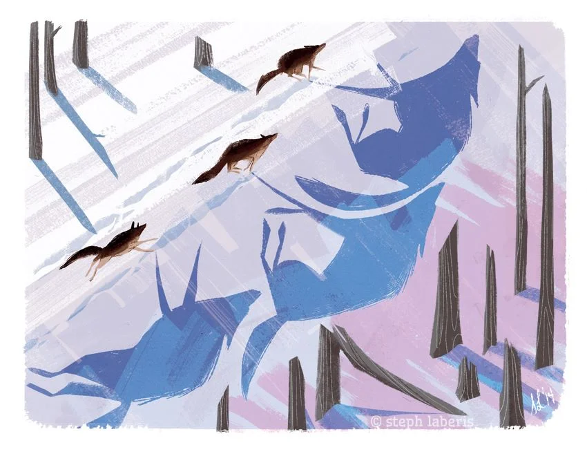 Artists Interviews: Stephanie Laberis