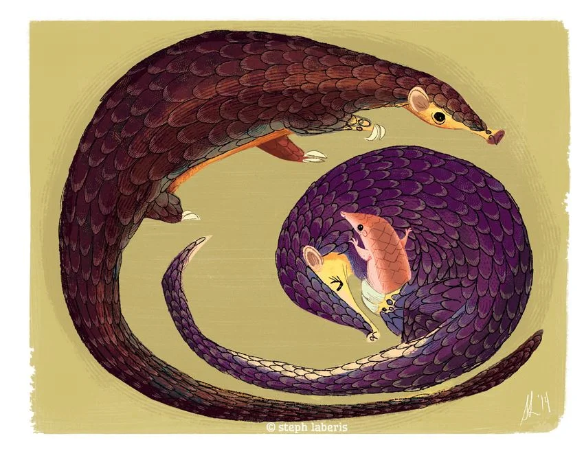 Artists Interviews: Stephanie Laberis