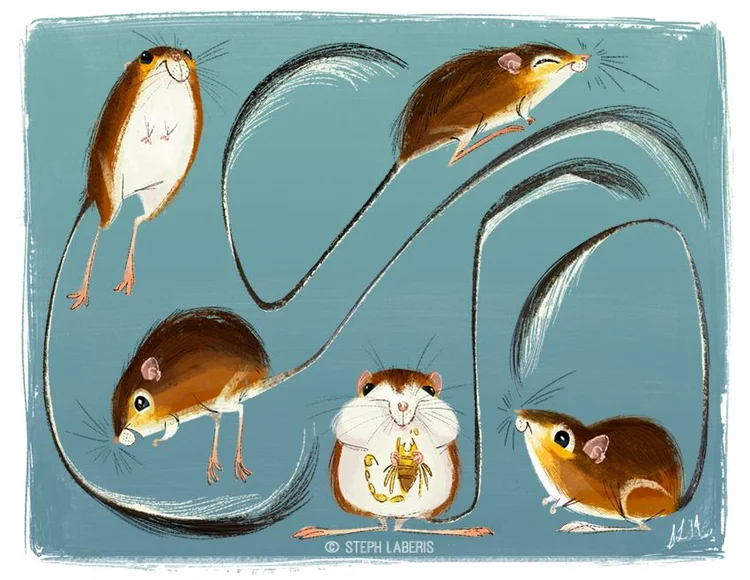 Artists Interviews: Stephanie Laberis