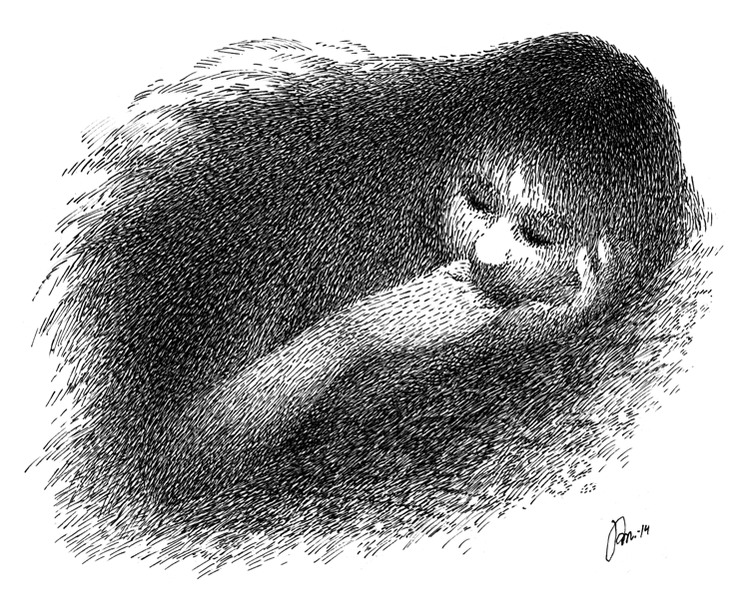 Artists Interviews: Paula Mela