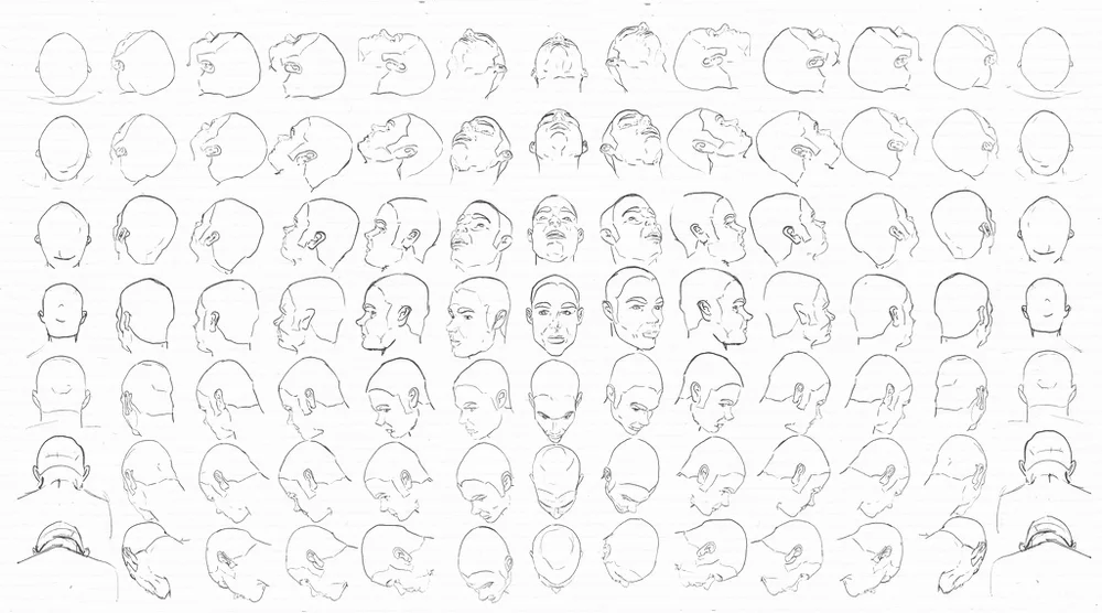 Character Anatomy | Head