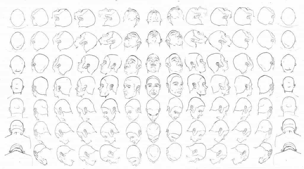 Character Anatomy | Head