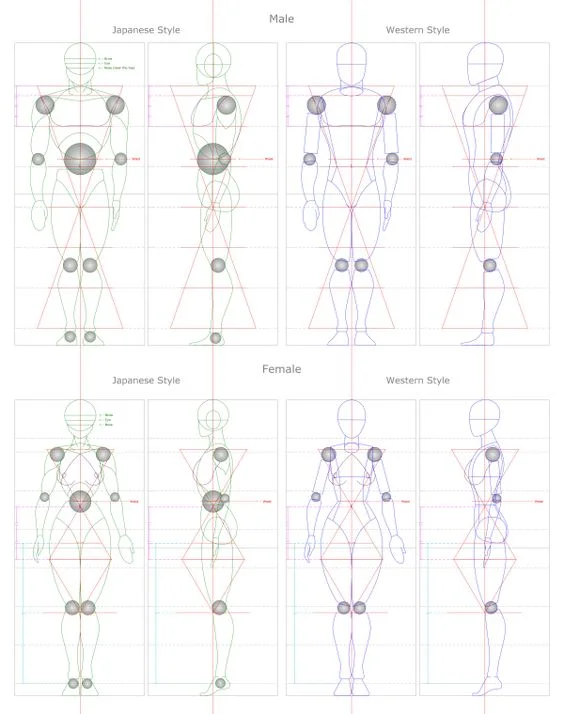 Character Anatomy | Ratio