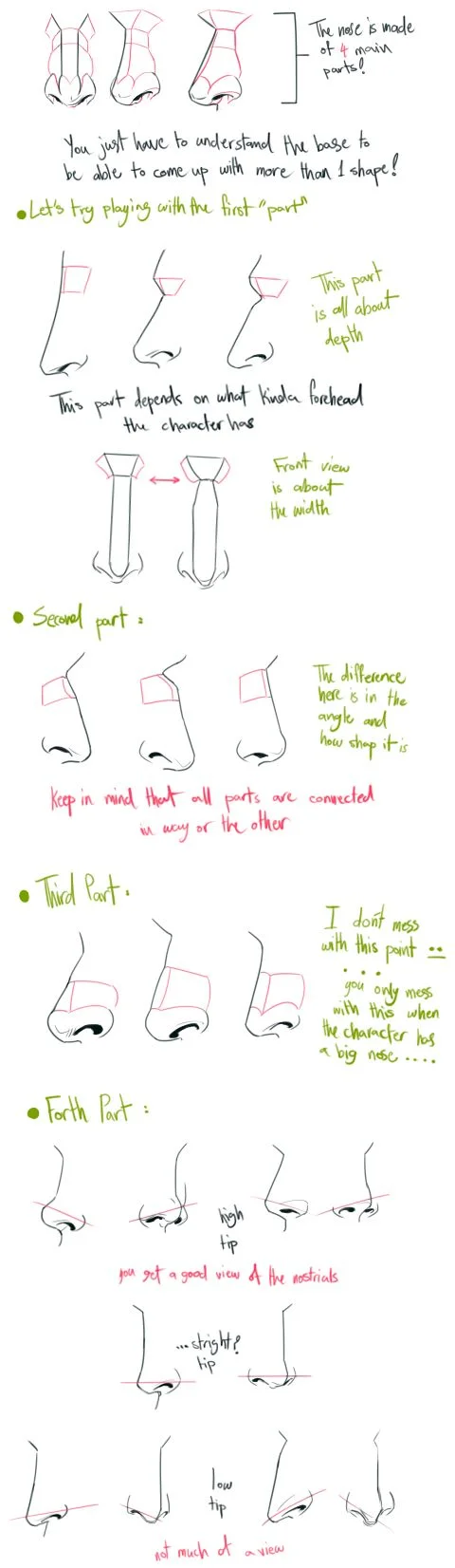 Character Anatomy | Nose