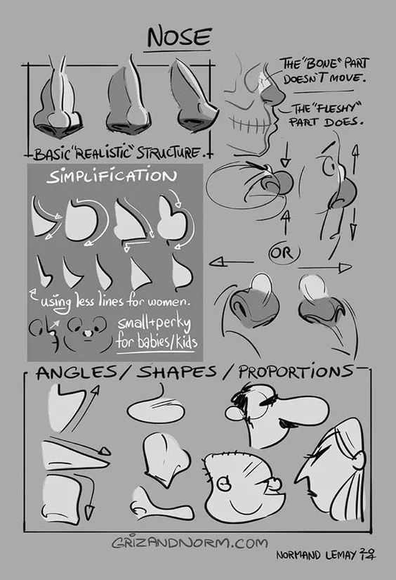 Character Anatomy | Nose