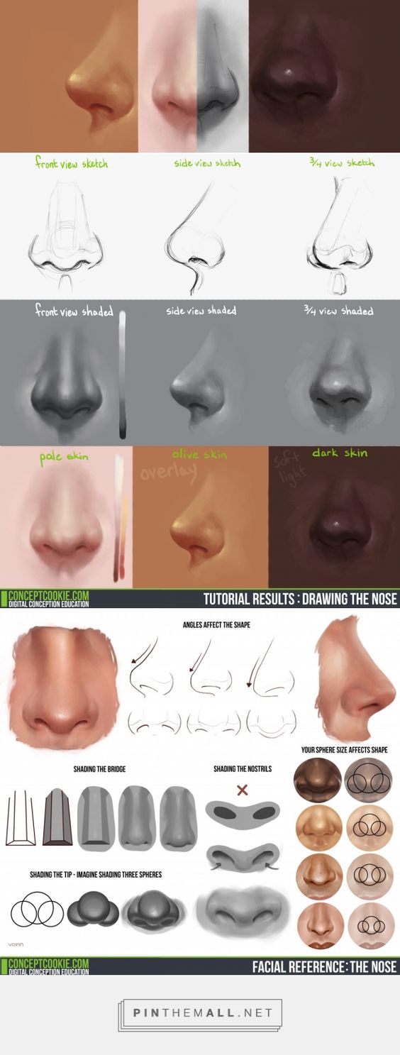 Character Anatomy | Nose
