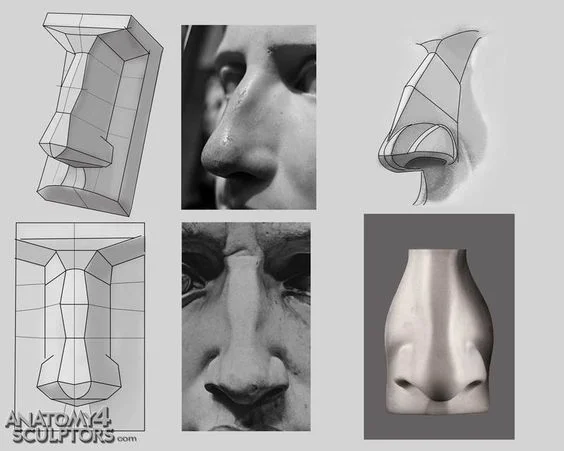 Character Anatomy | Nose