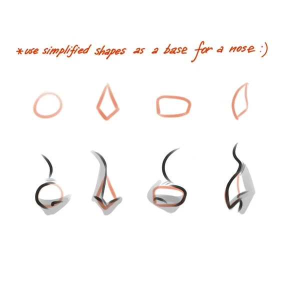 Character Anatomy | Nose