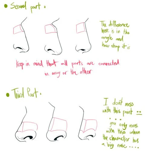 Character Anatomy | Nose