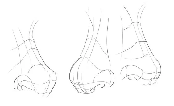Character Anatomy | Nose
