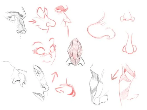 Cute Nose Drawing