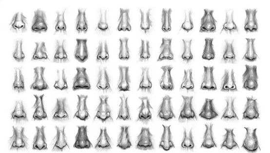 Character Anatomy | Nose