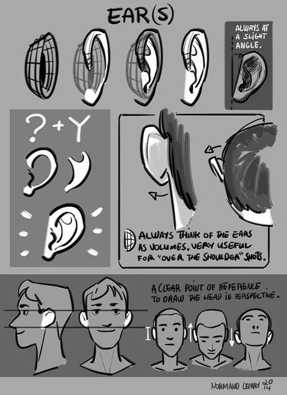 Character Anatomy | Ears
