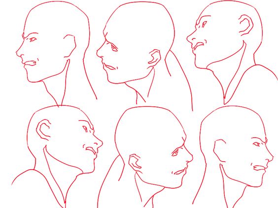 Character Anatomy | Neck