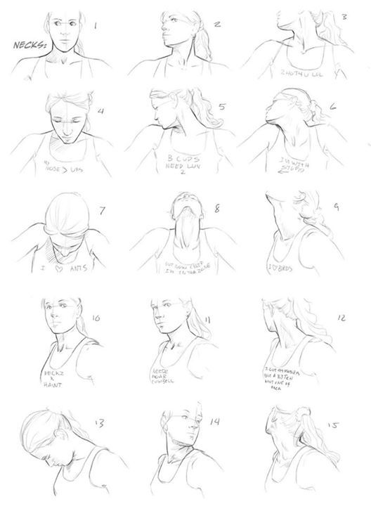 Character Anatomy | Neck