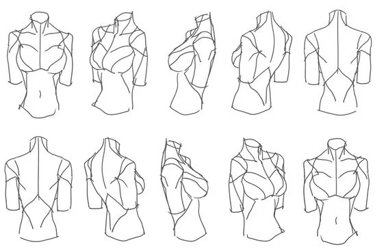 Character Anatomy | Breast