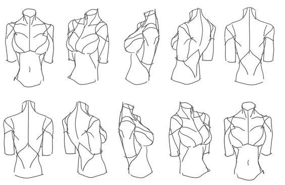 Character Anatomy | Breast