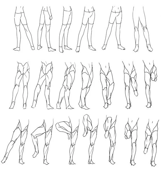 Character Anatomy | Legs