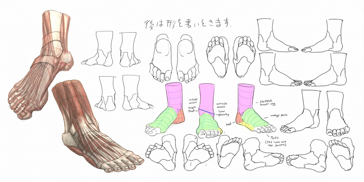 Character Anatomy | Feet