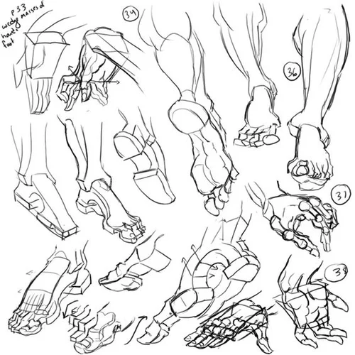 Foot Drawing Reference