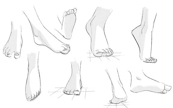 Character Anatomy | Feet