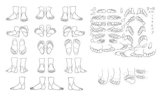 Character Anatomy | Feet