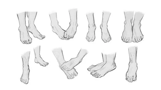 Character Anatomy | Feet
