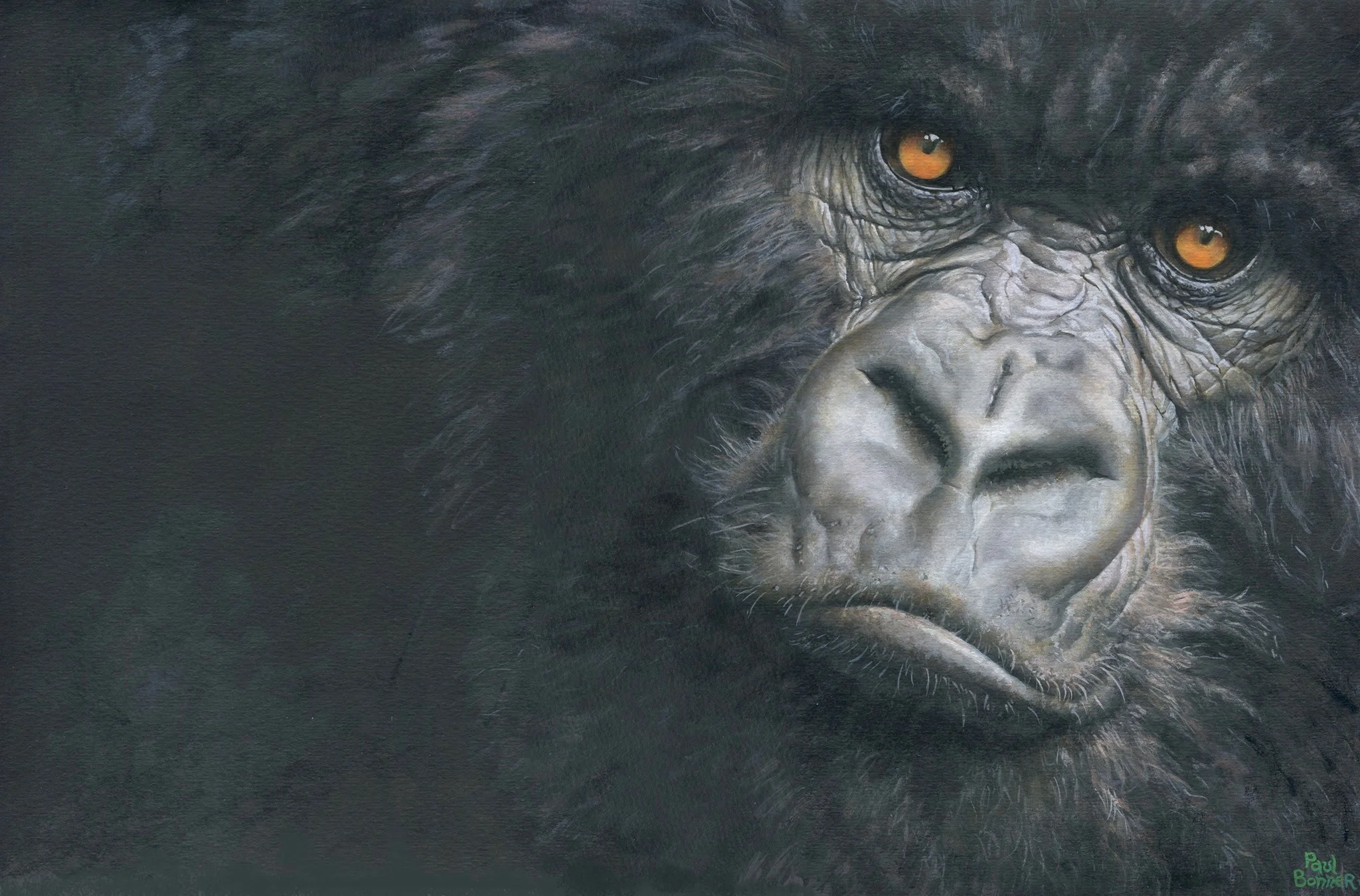 The Art of Paul Bonner