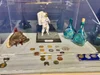 Derry Museum of History