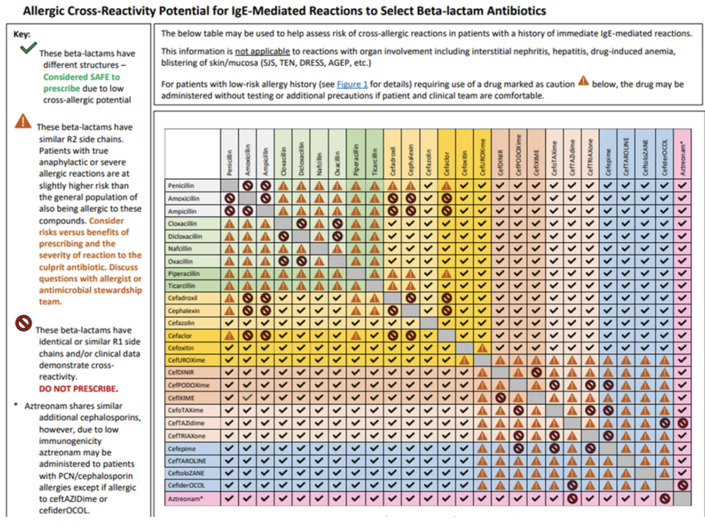 A Pharmacist's Fact Versus Fiction: Antibiotic Edition – Part I — tl;dr ...