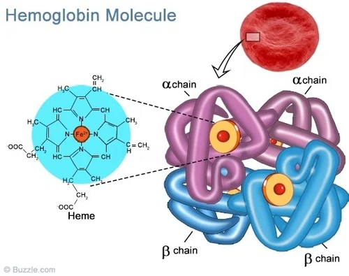 The Pharmacist's Guide to Sickle Cell Disease — tl;dr pharmacy