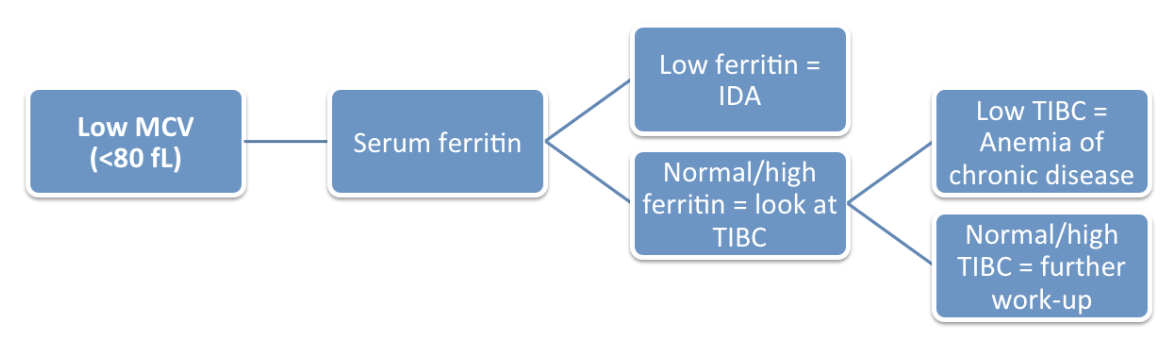 How Low Can You Go: An Overview of Anemia — tl;dr pharmacy