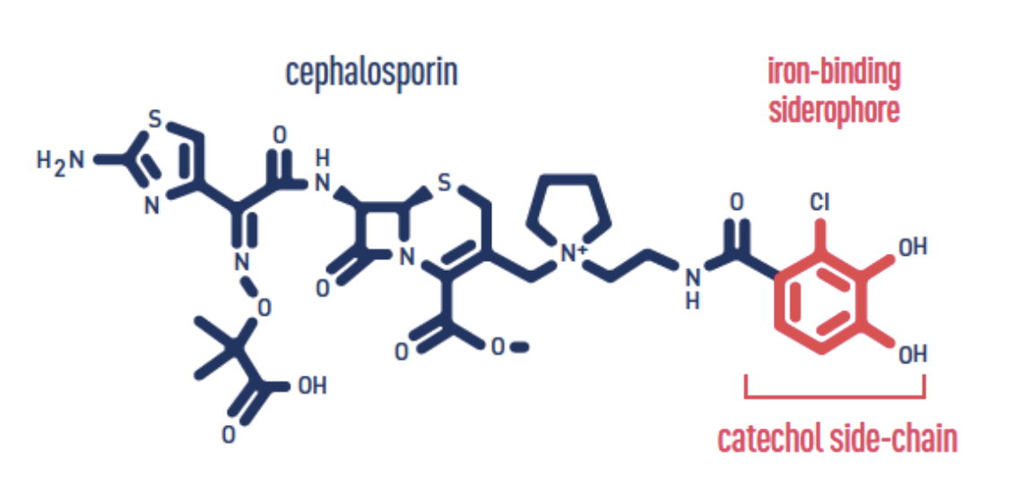 New FDA Approval: Fetroja — tl;dr pharmacy
