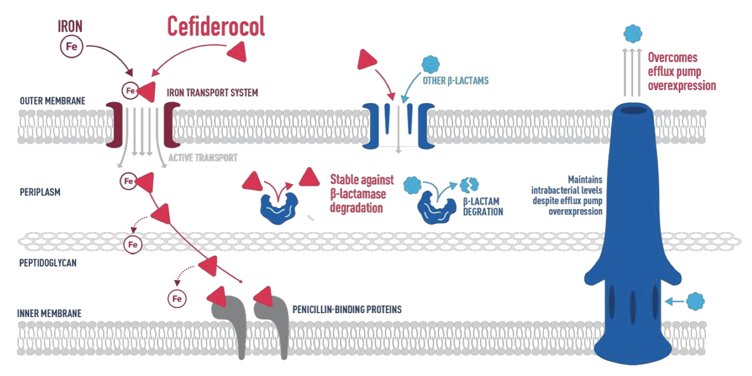 New FDA Approval: Fetroja — tl;dr pharmacy