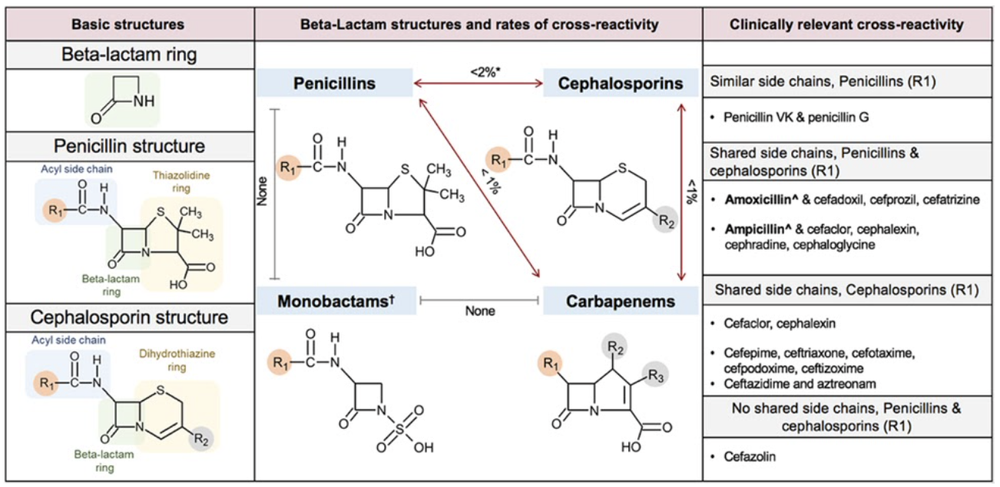 The Real Deal on Penicillin Allergies — tl;dr pharmacy