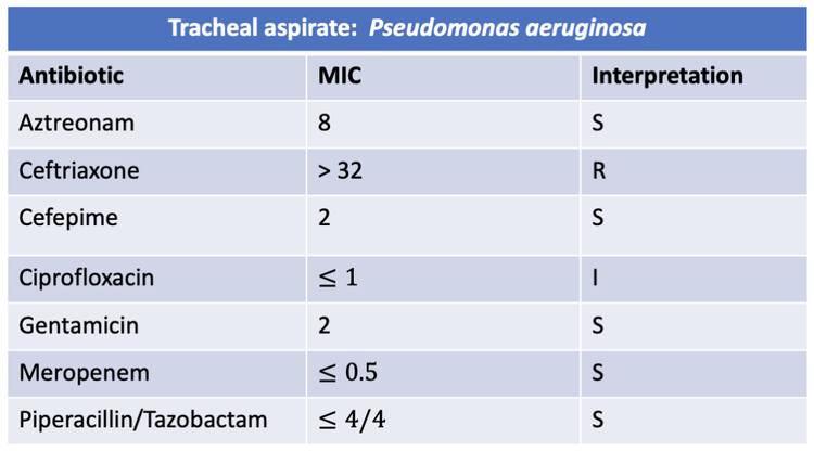 What Every Pharmacist Should Know about Antimicrobial Susceptibility ...