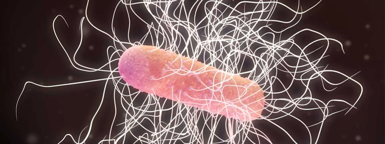 The Pharmacist's Primer on Clostridioides Difficile Associated Diarrhea ...