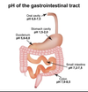 What Every Pharmacist Should Know about Enteral Nutrition and ...
