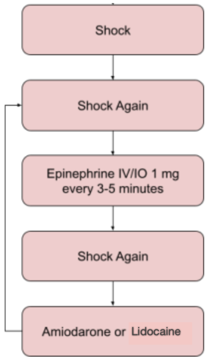 The Pharmacist's Crash Course on the Crash Cart — tl;dr pharmacy