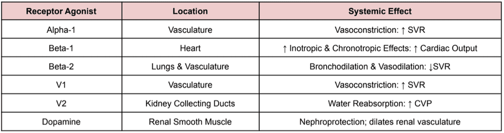 Pharmacology 101: Vasopressors — tl;dr pharmacy