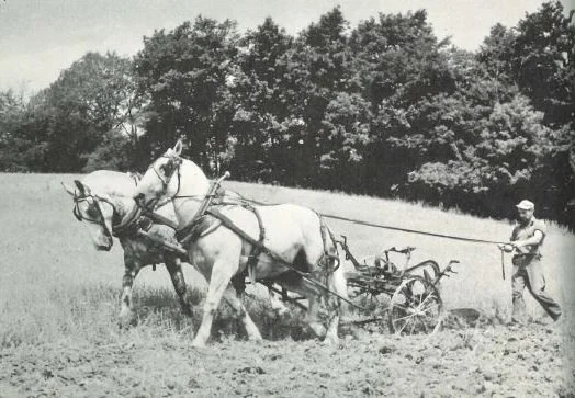 Why Two Families Preserved Their Farms in Colts Neck, NJ — MCF