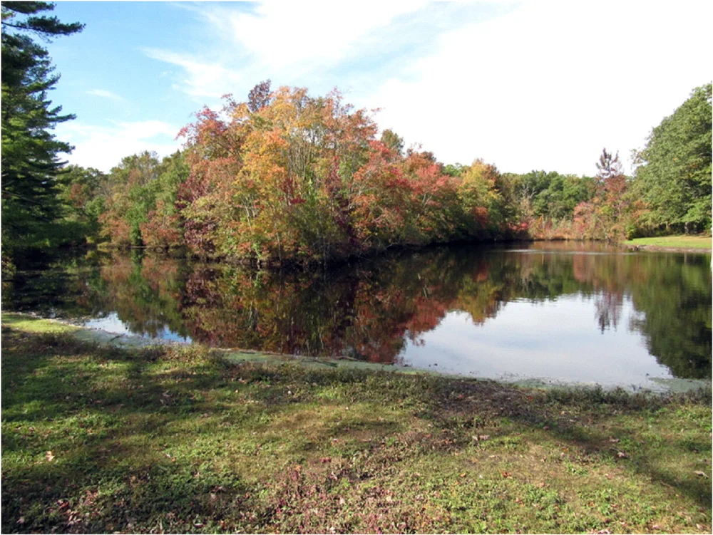 Howell Park Expands, Provides Sanctuary for People and Wildlife — MCF