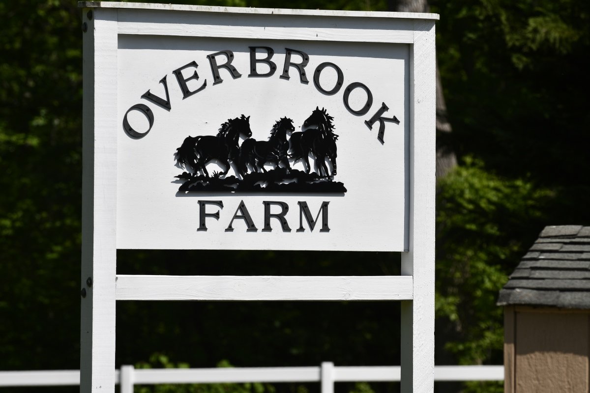 NOT HORSING AROUND: MCF and Partners Obtained Preservation Status for ...