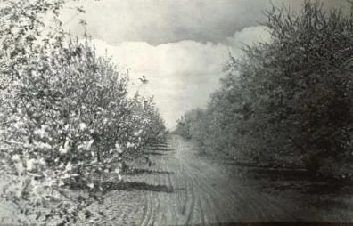 Why Two Families Preserved Their Farms in Colts Neck, NJ — MCF