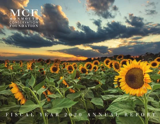 MCF Annual Report — MCF