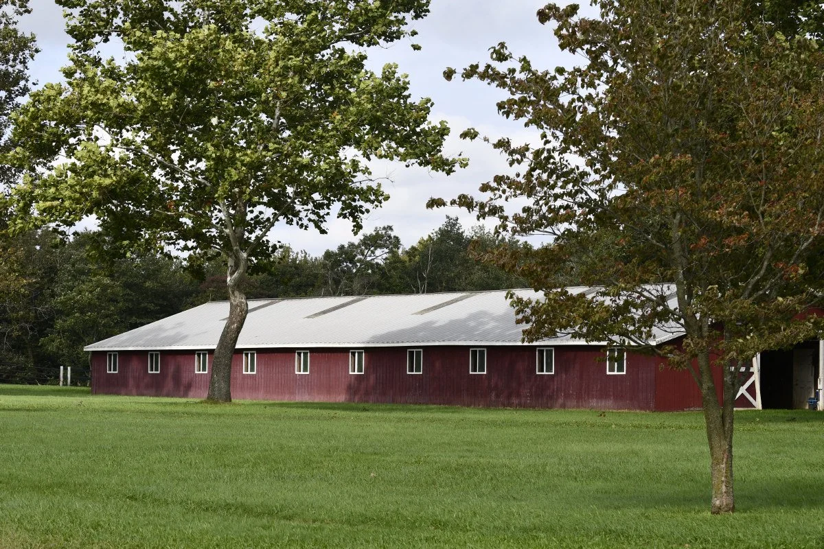 NOT HORSING AROUND: MCF and Partners Obtained Preservation Status for ...