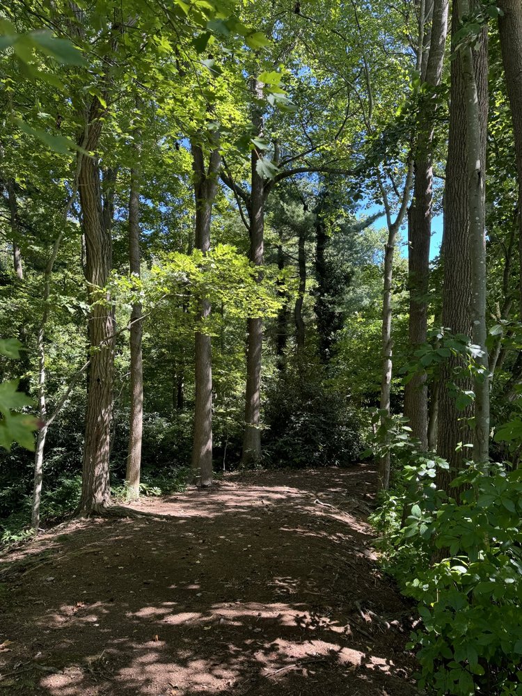 Scudder Preserve — MCF