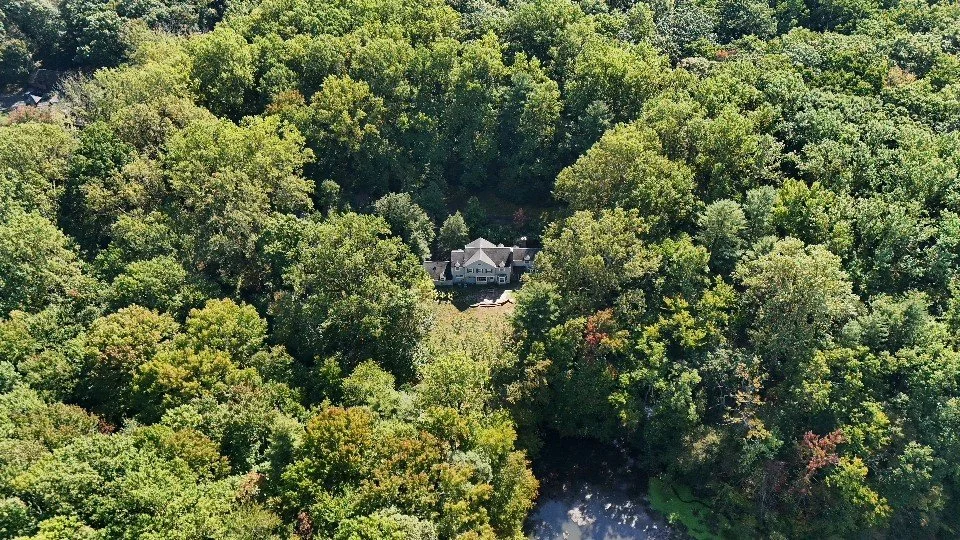 Q&A with Erica Muller: Forester for MCF’s Scudder Preserve — MCF